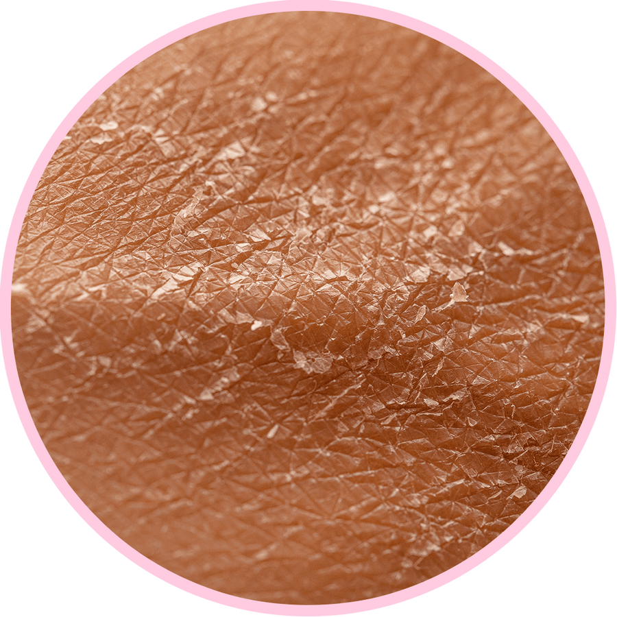 Delhicious - Award Winning Natural Skin Solutions